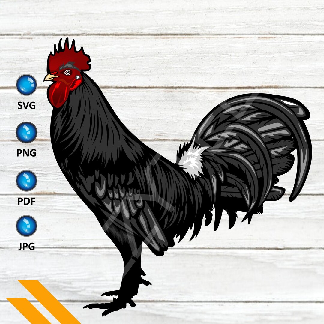 Silueta de gallo negro SVG, sublimación de pollo, diseño de gallo ...