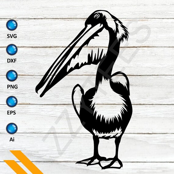 Pelican Bird Vector File Digital Download - Etsy