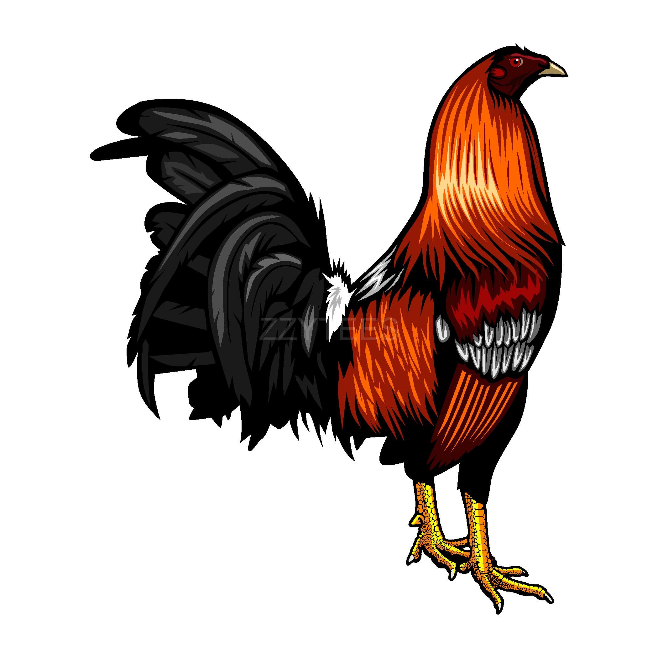 Gamefowl Rooster Clipart: Farm Animal Vector (SVG, PNG) - Etsy
