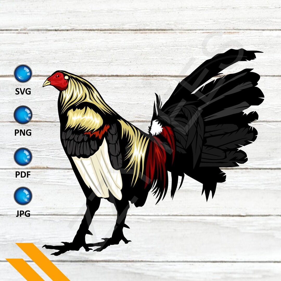 Archivo de corte de gallo, SVG de pollo, sublimación de gallo, archivo ...