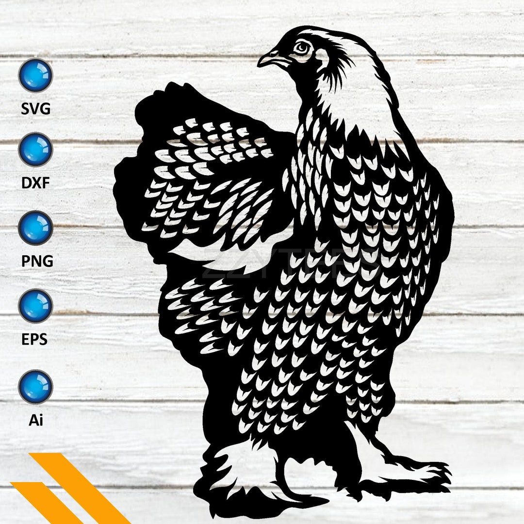 Brahma Chicken SVG Brahma Svg File - Etsy New Zealand