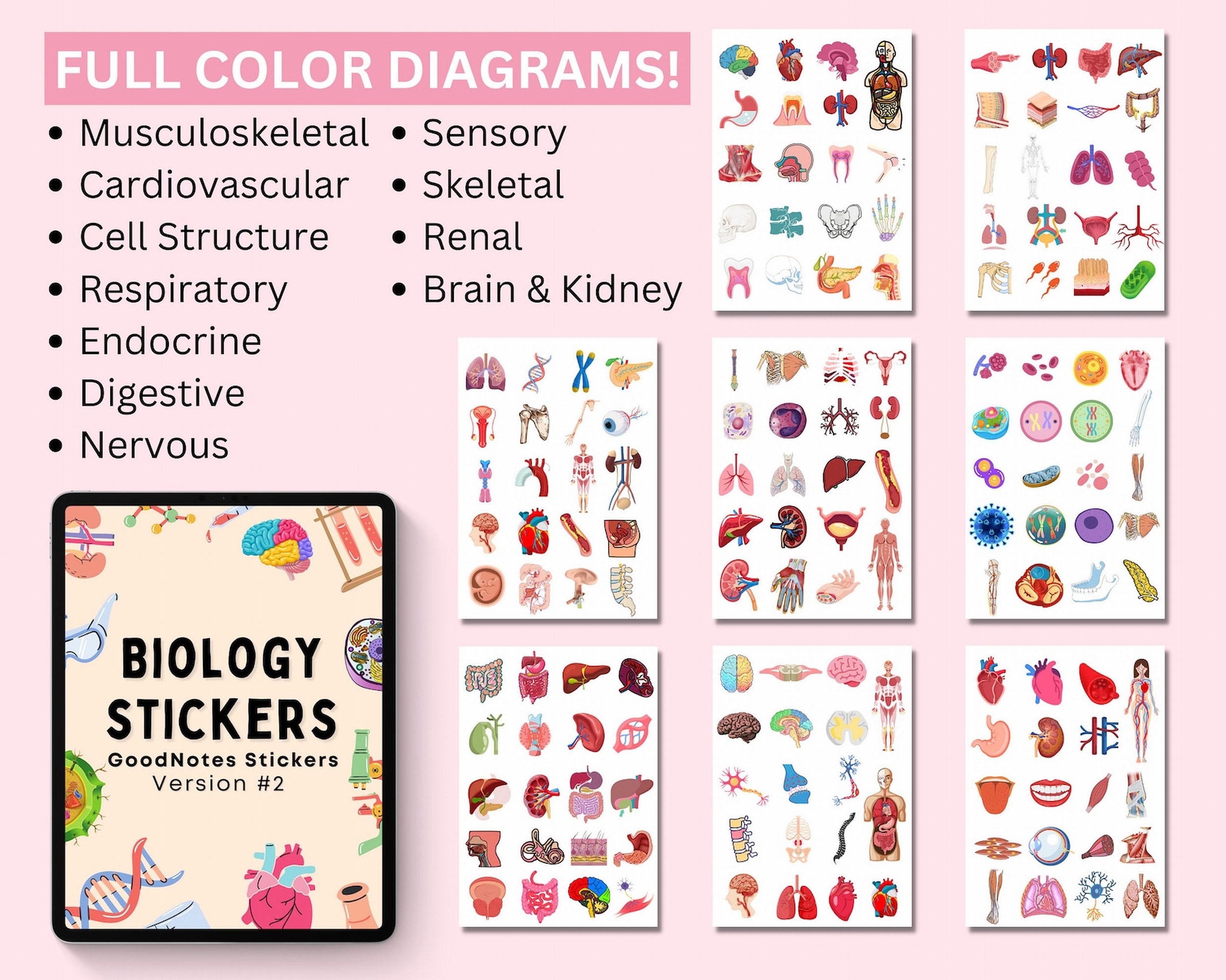 Biology & Anatomy Digital Stickers Human Body Stickers - Etsy
