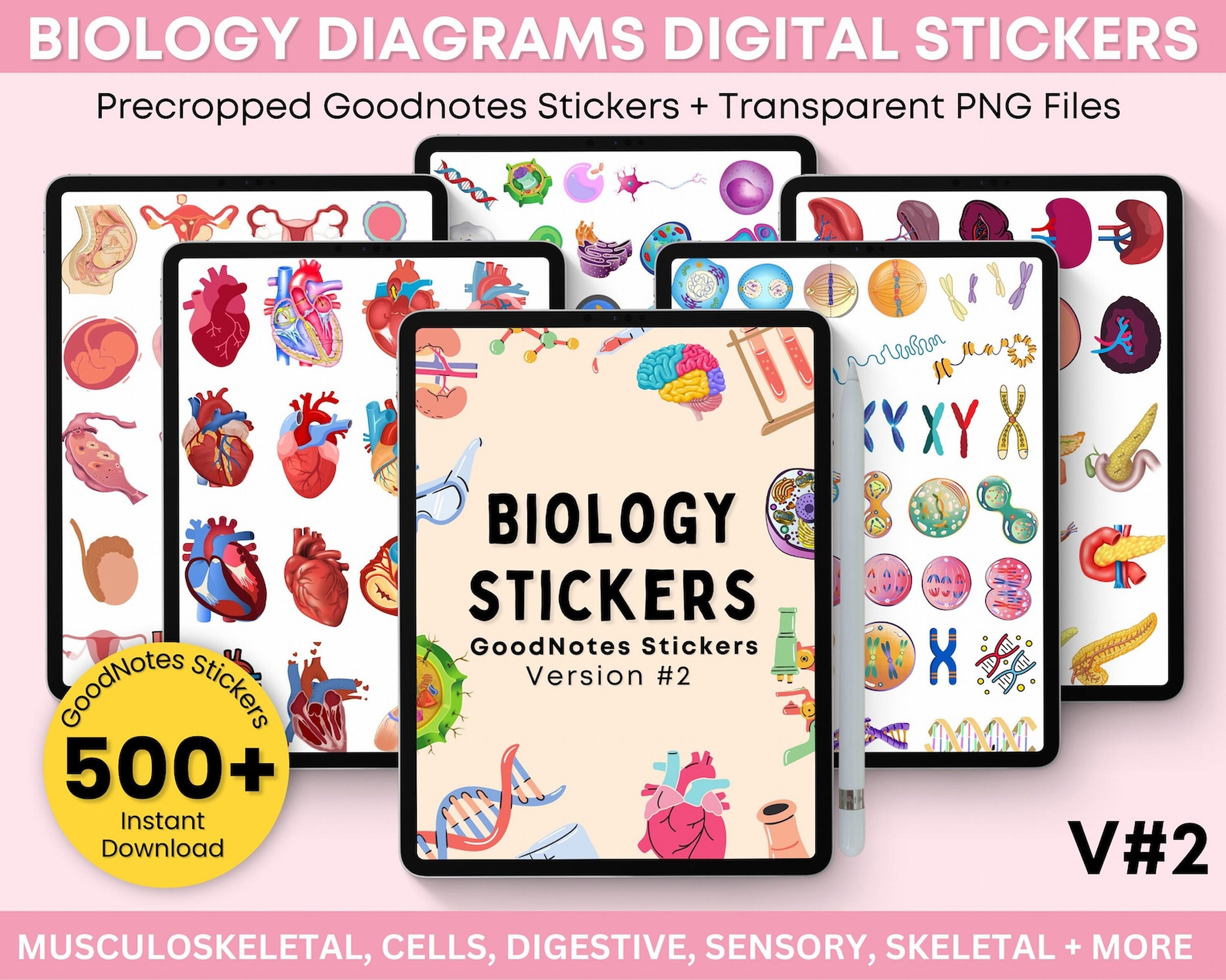 Biology & Anatomy Digital Stickers Human Body Stickers - Etsy
