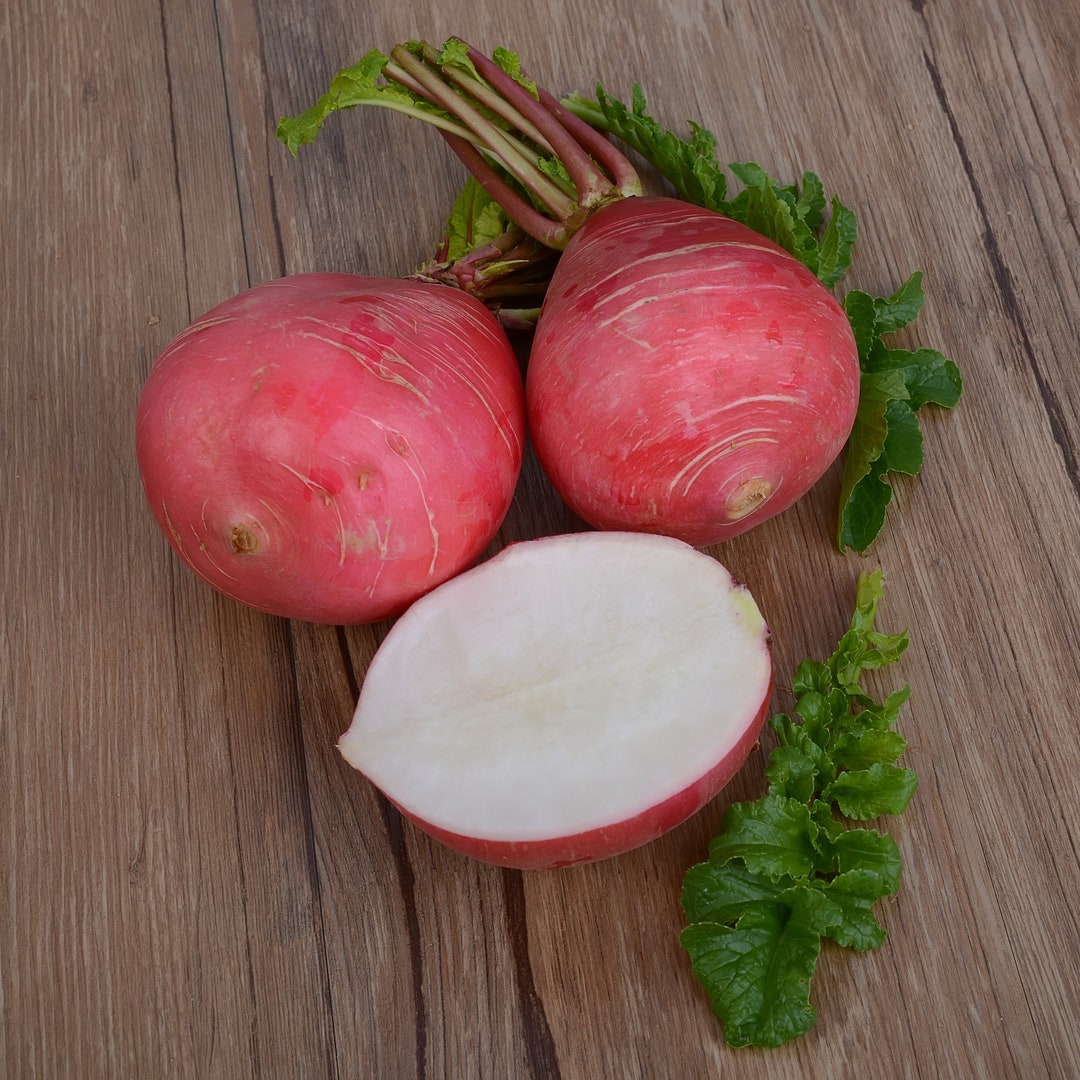 500 German Giant Radish Seeds - Non-gmo Heirloom Radish - HUGE Radishes ...