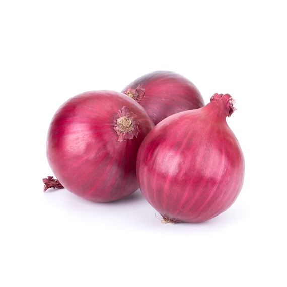 1000 Red Grano Onion Seeds Heirloom Non-gmo Onion Seeds - Etsy