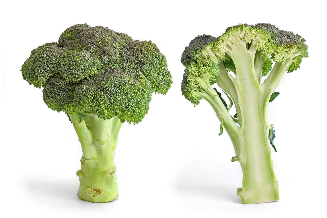1000 Green Sprouting Calabrese Broccoli Non-gmo Heirloom Broccoli Seeds ...