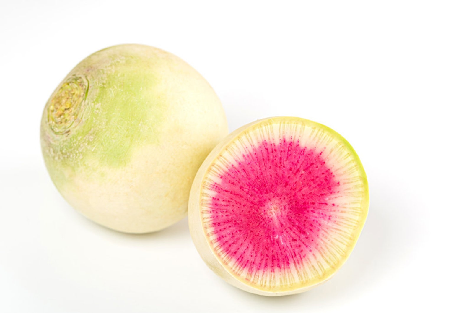 500 Watermelon Radish Seeds Non-gmo Heirloom Radish Daikon | Etsy