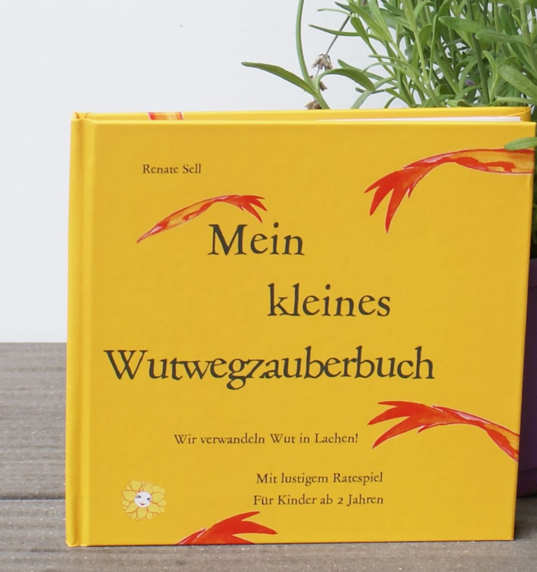 Mein kleines Wutwegzauberbuch für Kinder ab 2 Wir verwandeln Wut in ...