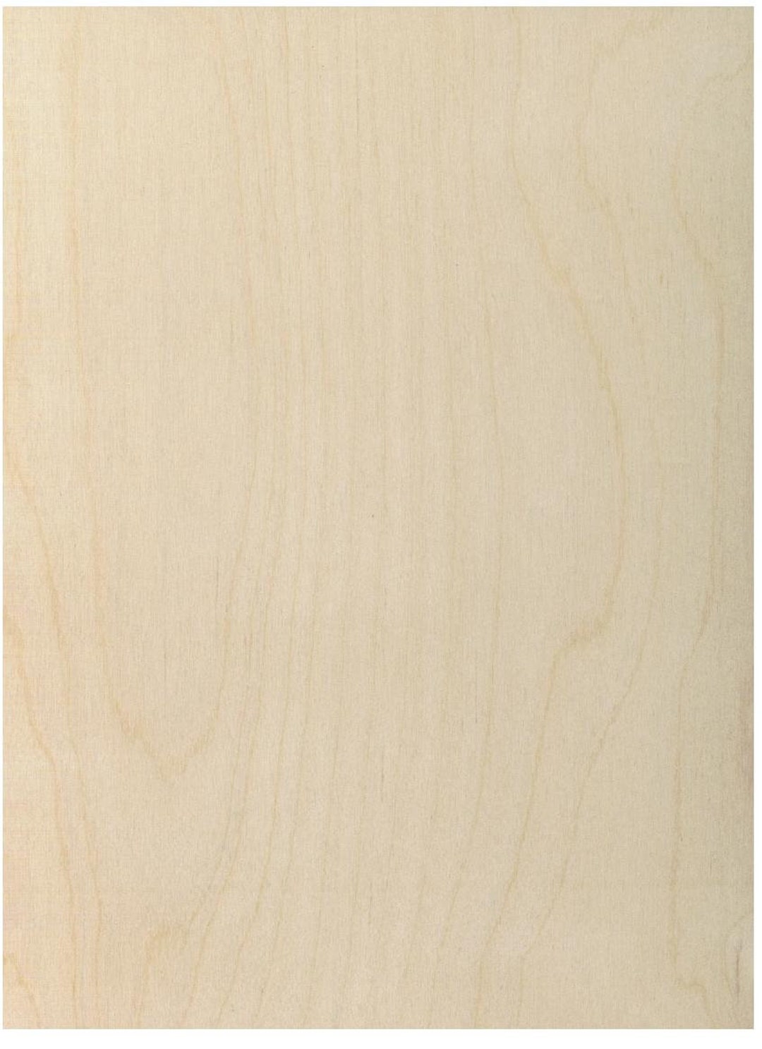 Baltic Birch Plywood Texture