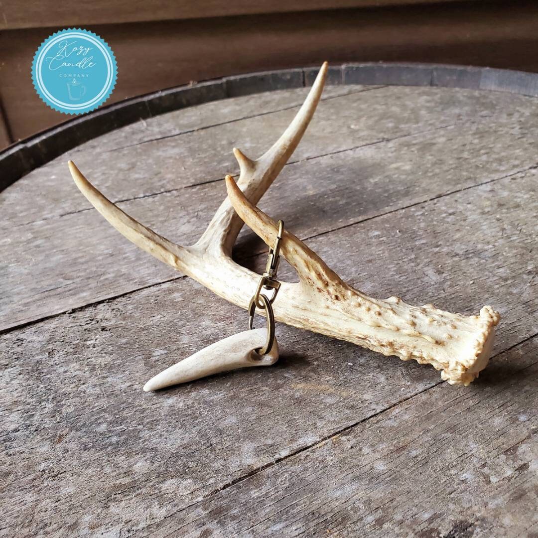 2"-4" Deer Antler Tip Keychain, Real Deer Keychain, Antler Hooks ...