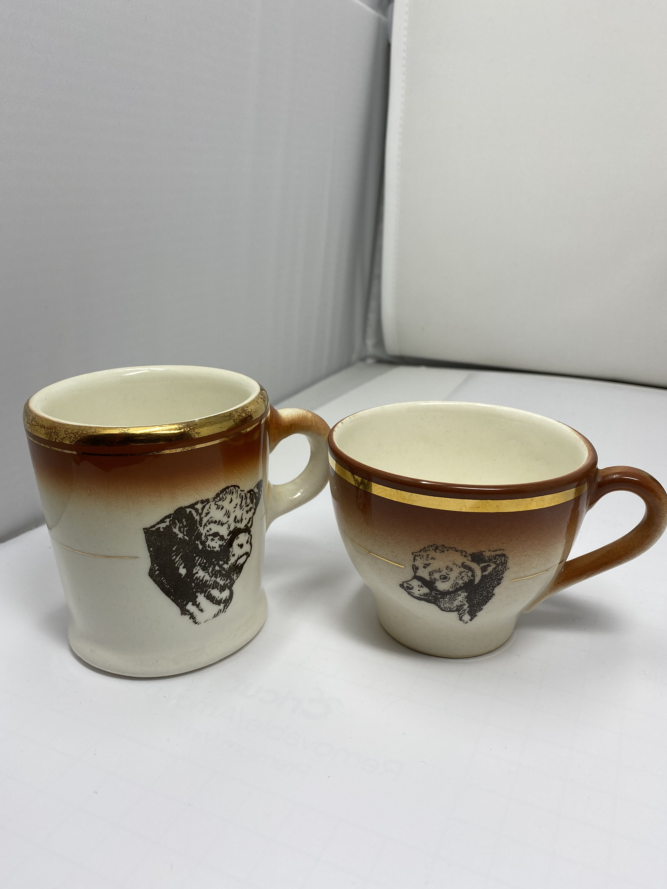 Vintage Hycroft China Medicine Hat Mug and Cup. | Etsy