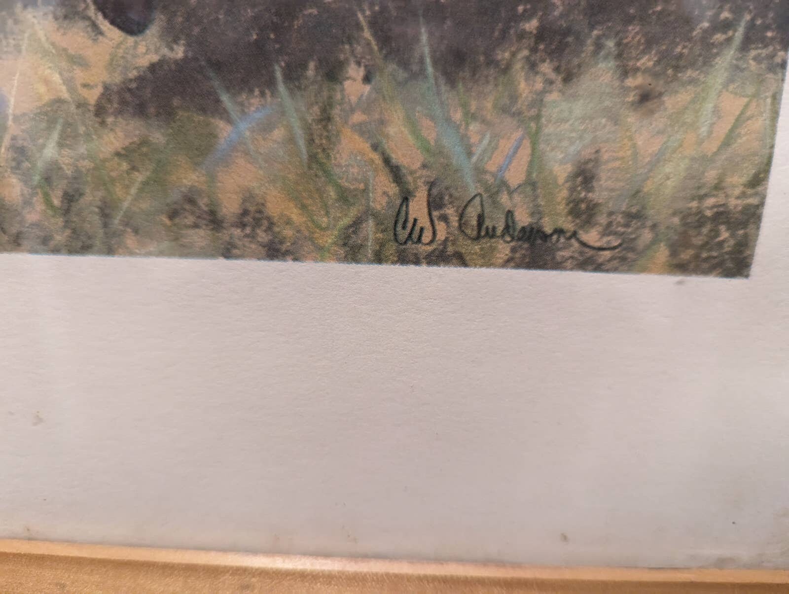 Vintage MCM CW Anderson Galloping Horse Print Framed 15.5 X 13.5 Some ...