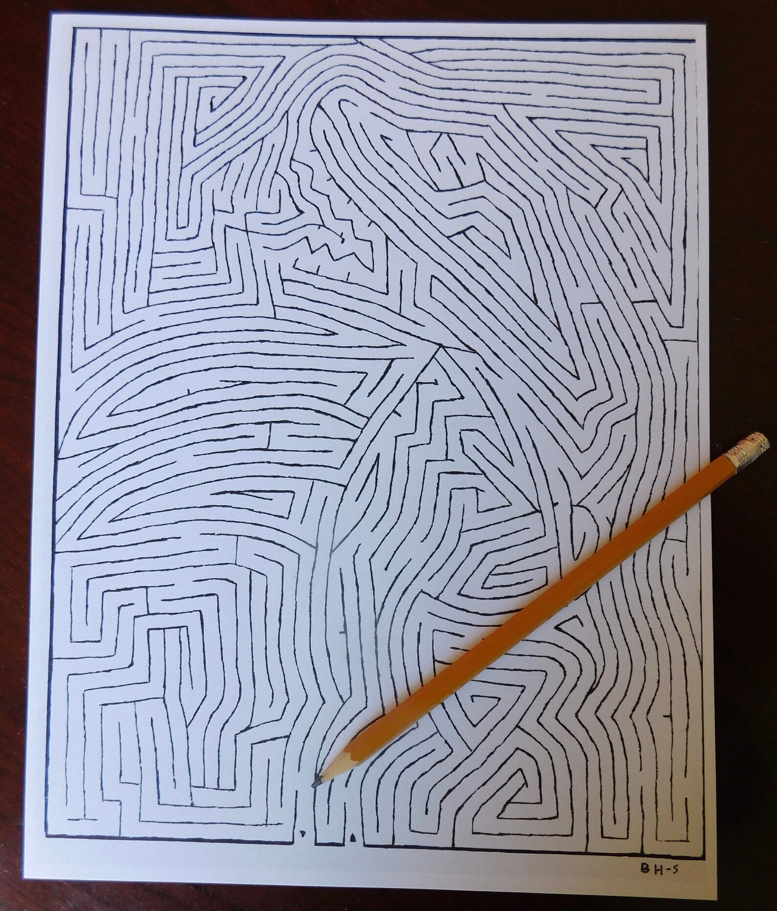 Digital Version T-rex Maze Sheet (amazadoodl - Etsy