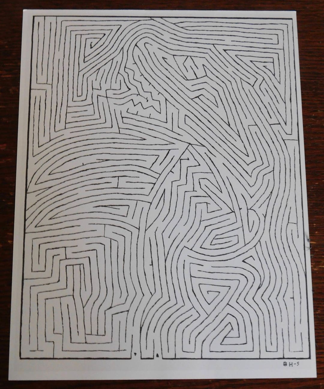 Digital Version T-rex Maze Sheet (amazadoodl - Etsy