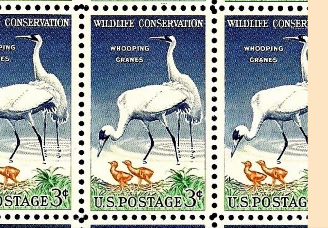 20 Blue Wildlife Cranes Stamps 1098 Unused Old Stamps Birds on Stamps ...