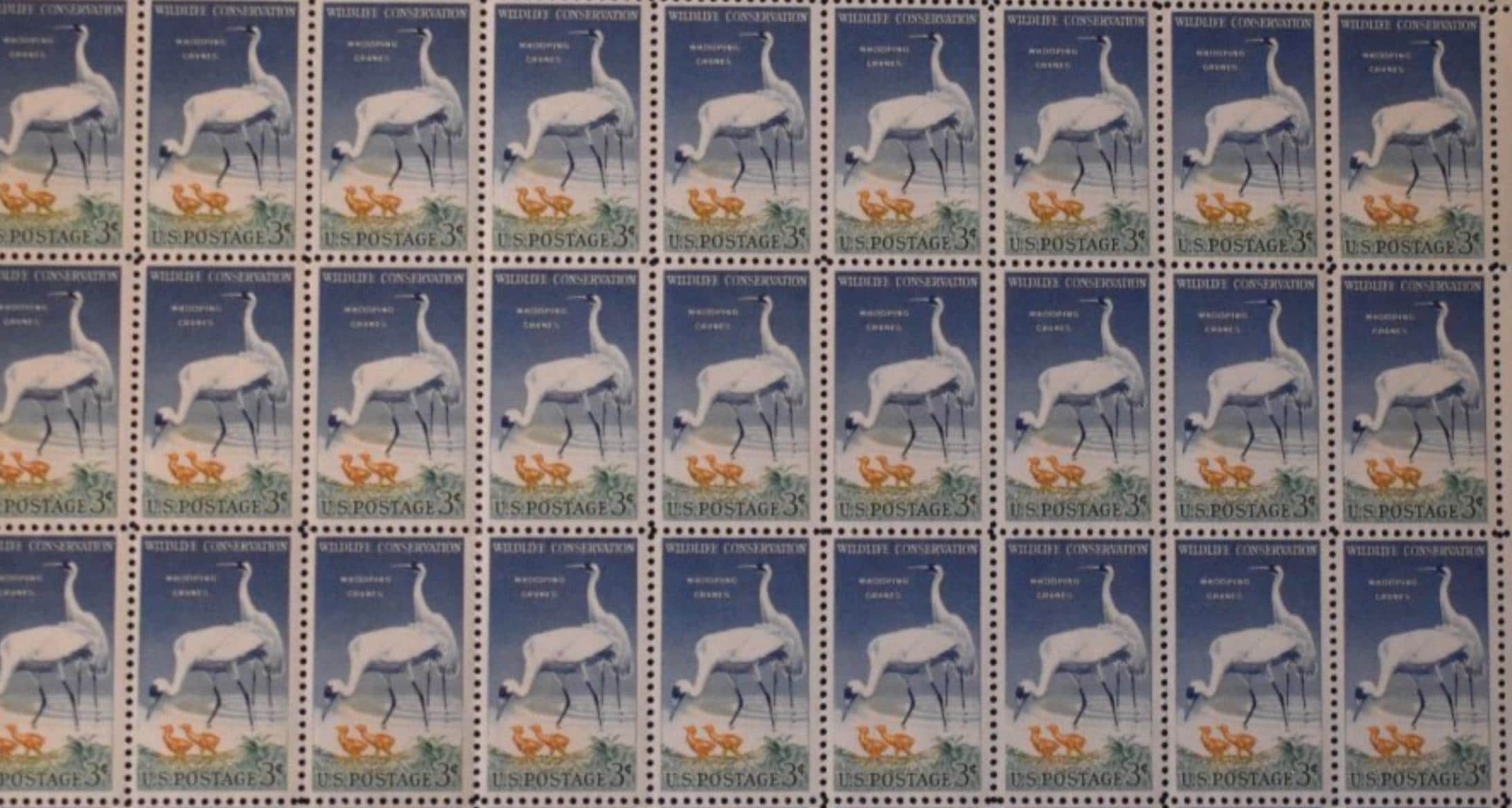 50 Vintage Wildlife Crane Stamps - 1957 Unused Ecology Stamps - Etsy