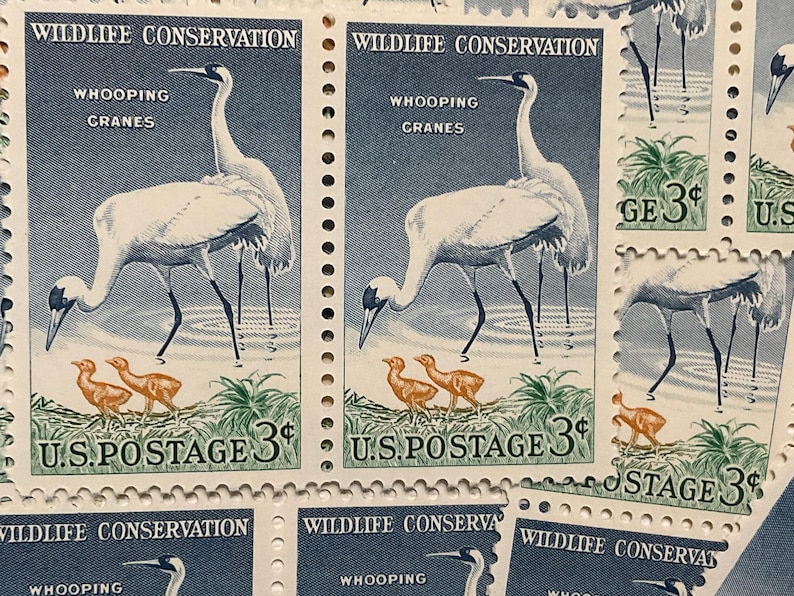 50 Vintage Wildlife Crane Stamps - 1957 Unused Ecology Stamps - Etsy