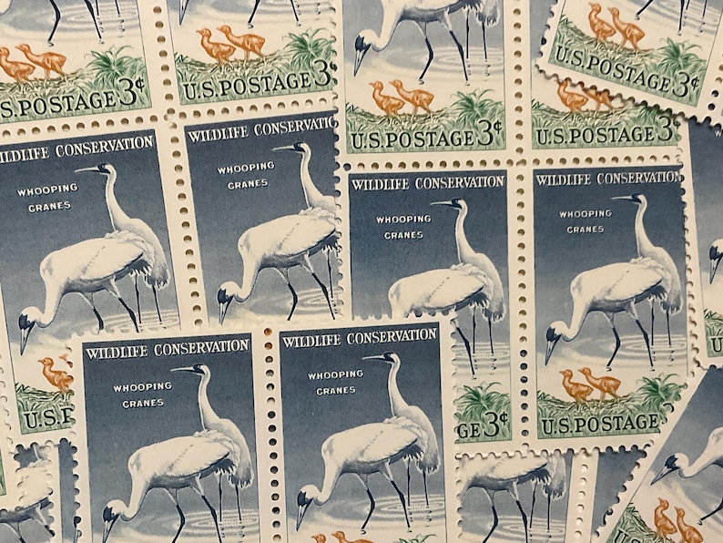 50 Vintage Wildlife Crane Stamps - 1957 Unused Ecology Stamps - Etsy