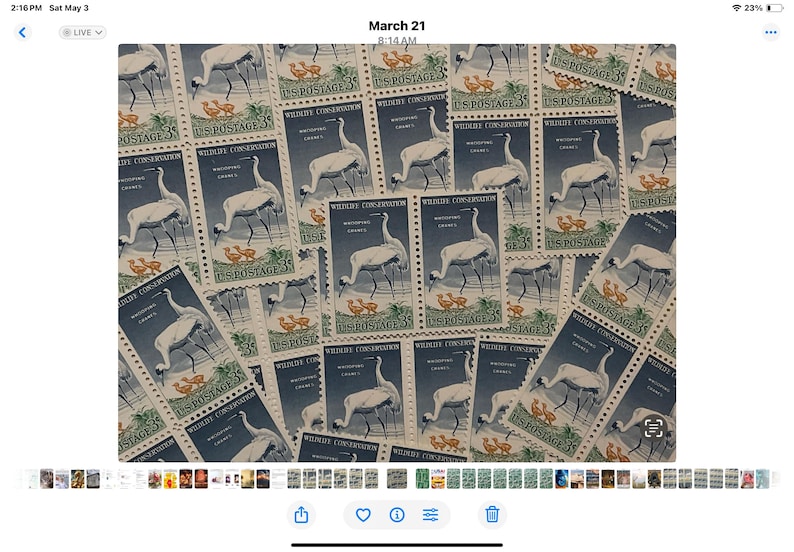 50 Vintage Wildlife Crane Stamps - 1957 Unused Ecology Stamps - Etsy
