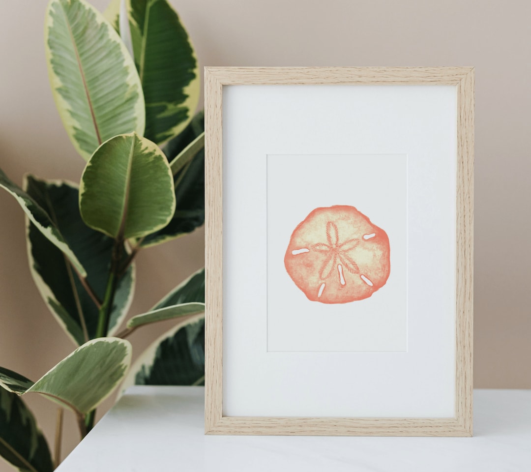 Coral Sand Dollar Watercolor Print: Beach House Decor (digital Download ...