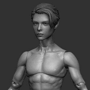 Male BJD Ready for Printing (enzo+wigcap) - Etsy