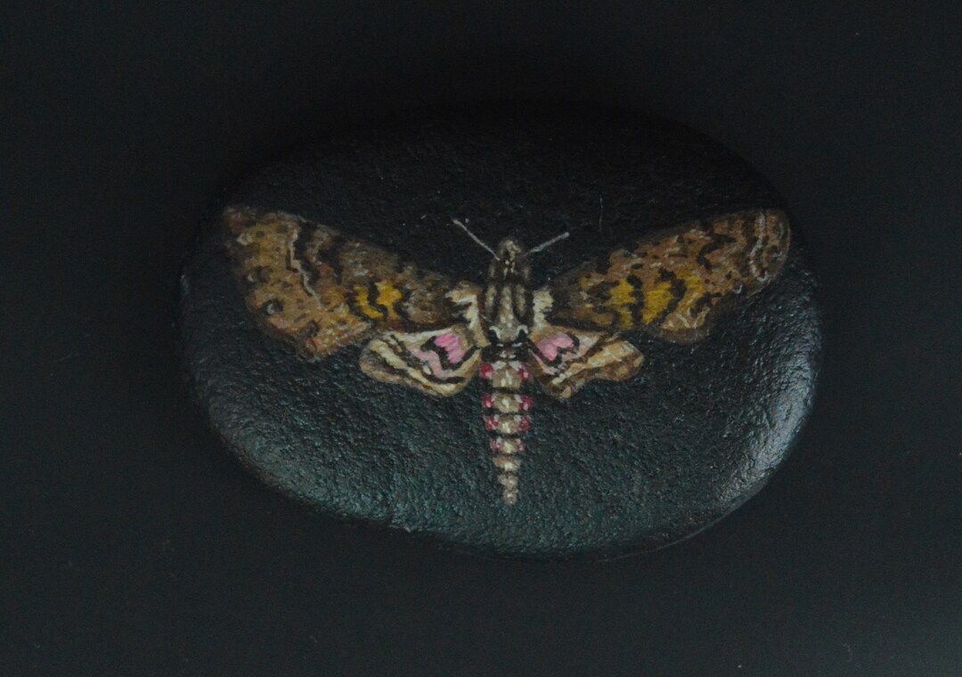 Hand Painted Moth Rock Moth Art Moth Painting Handmade Decor - Etsy
