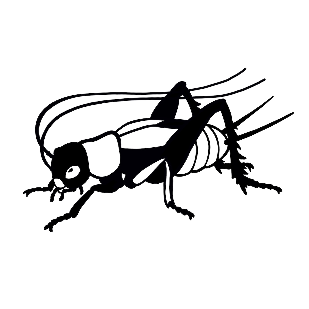Cricket Vinyl Decal (sticker) - Etsy