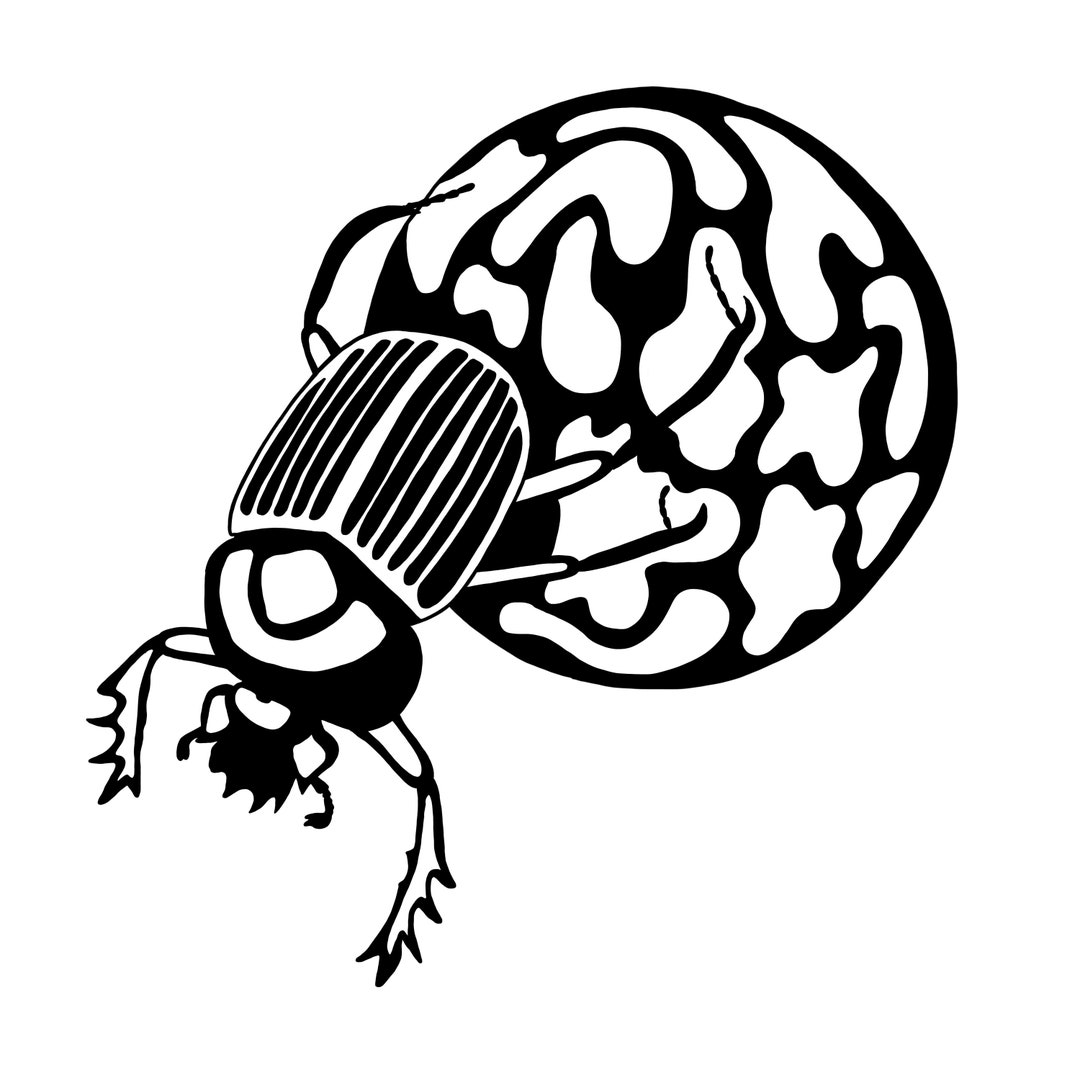 Dung Beetle Vinyl Decal (sticker) - Etsy