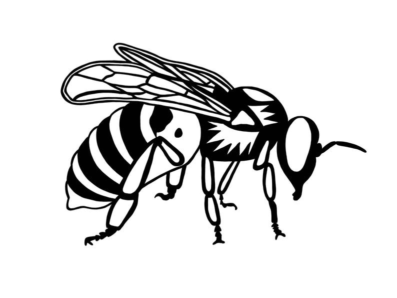 Bumblebee Vinyl Decal sticker - Etsy