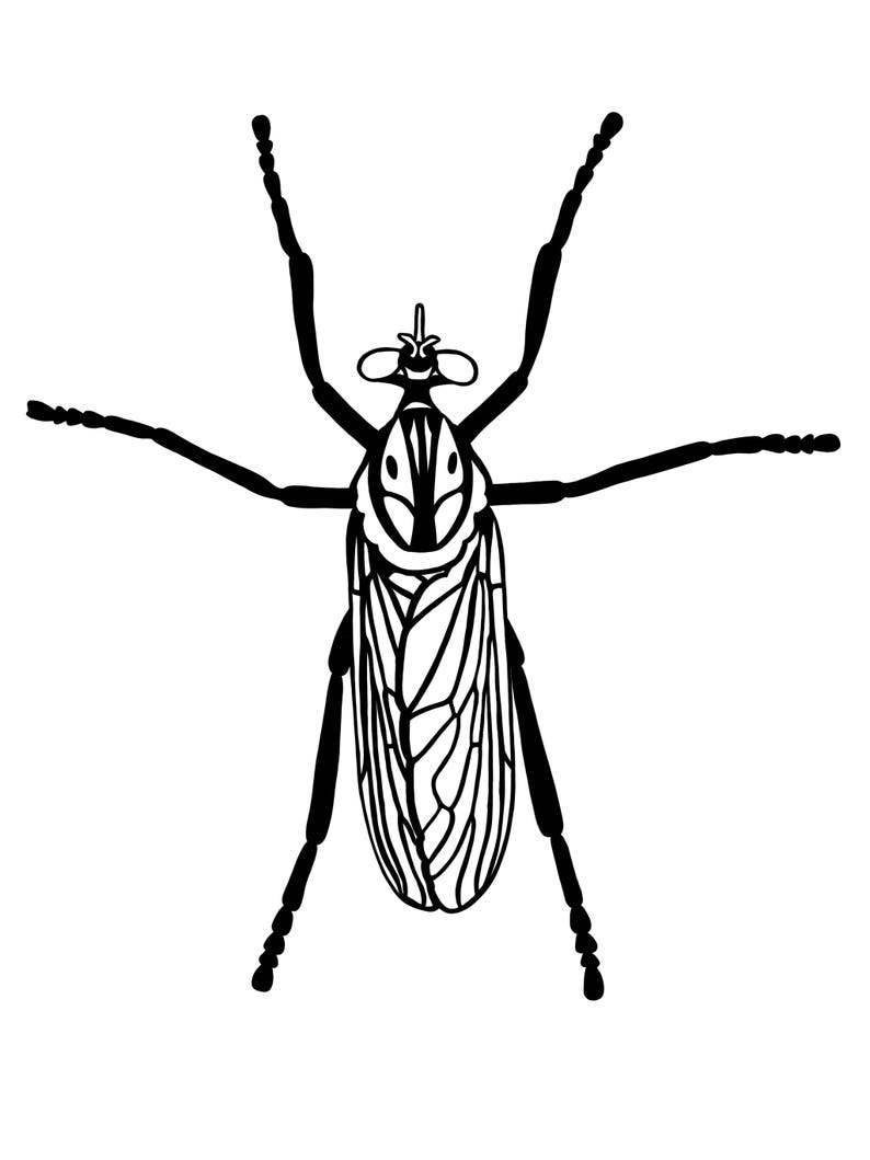 Robber Fly Vinyl Decal sticker - Etsy