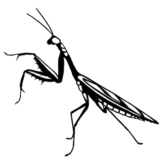 Praying Mantis Vinyl Decal sticker | Etsy