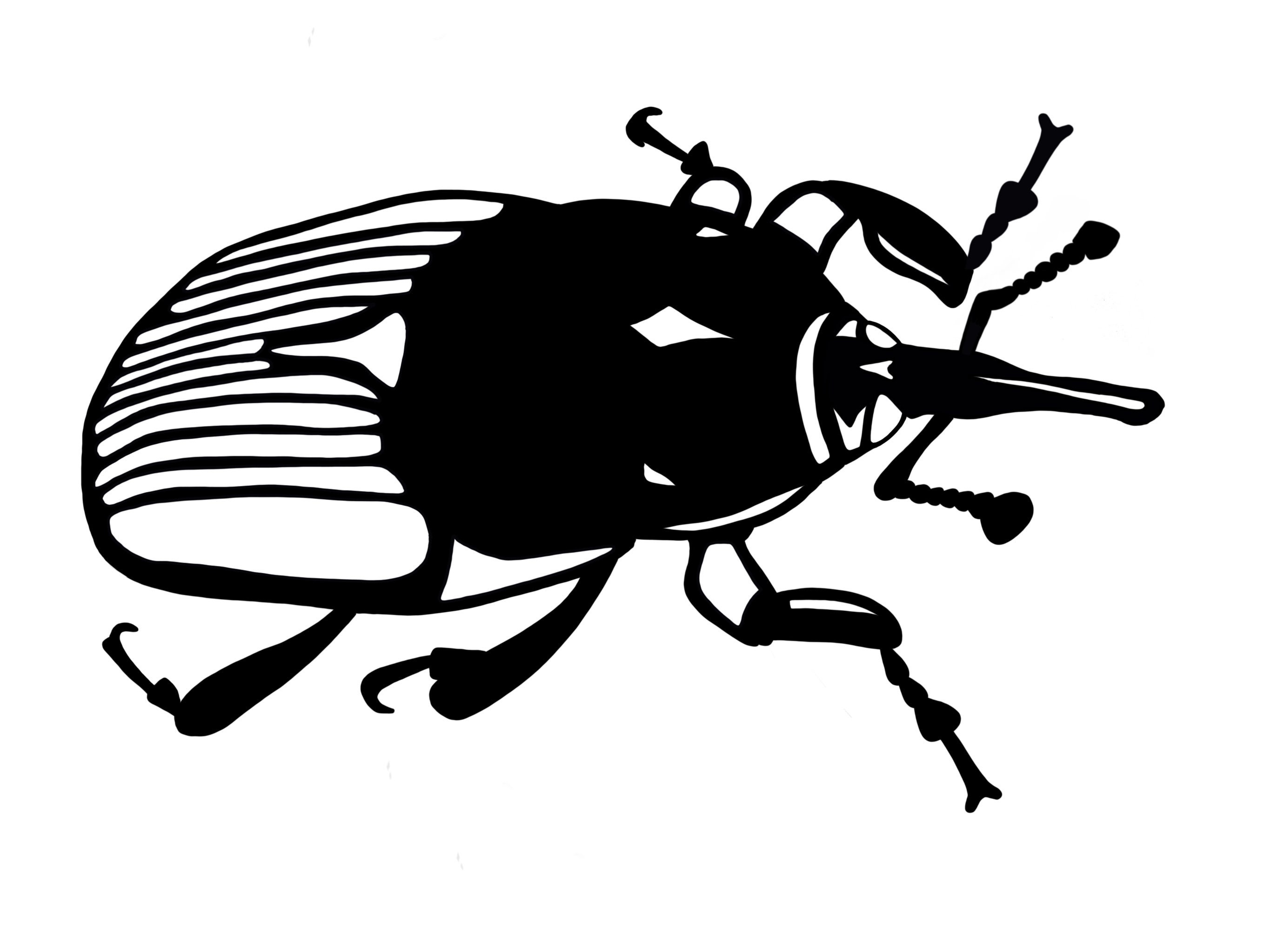 Red Palm Weevil Beetle Vinyl Decal sticker - Etsy Israel