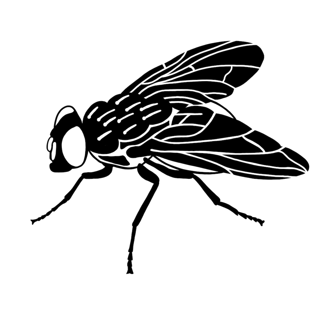 House Fly Vinyl Decal (sticker) - Etsy