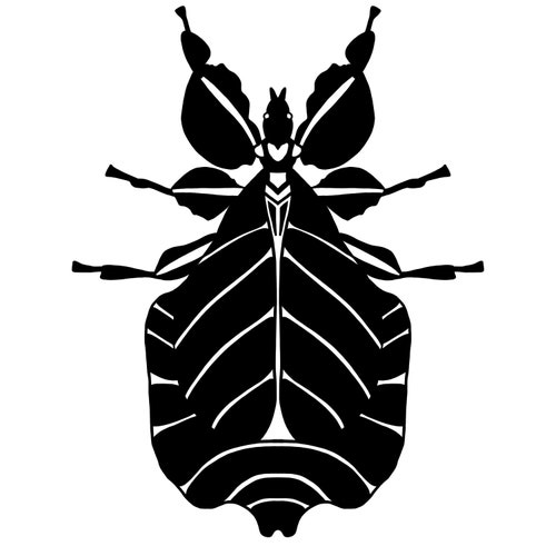 Mayfly Vinyl Decal sticker | Etsy