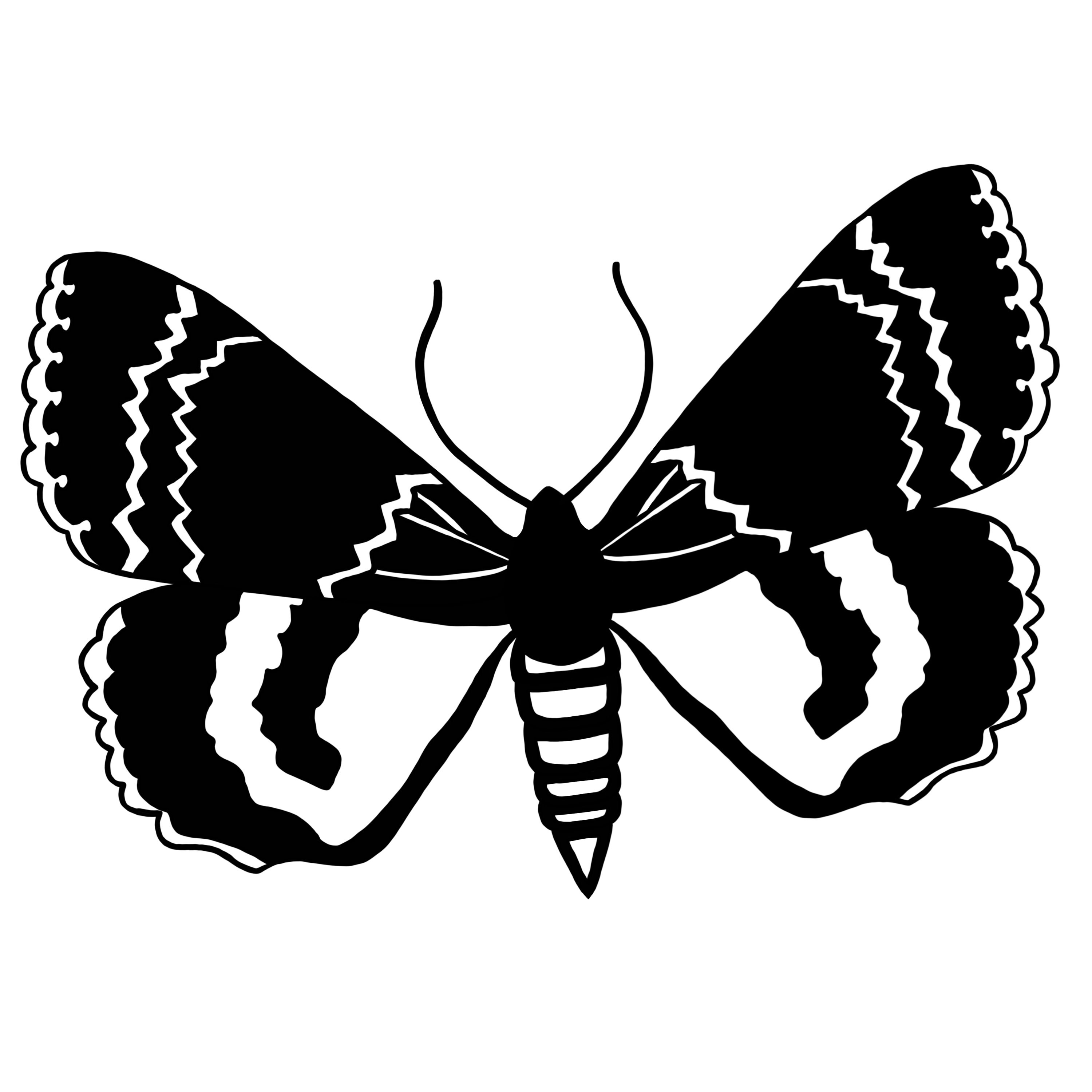 Underwing Moth Vinyl Decal sticker - Etsy