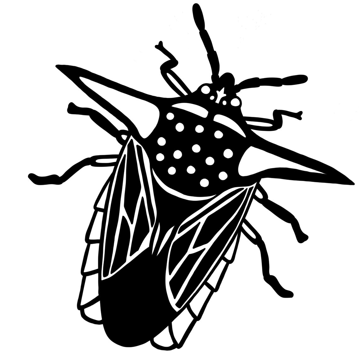 Tropical Stink Bug Vinyl Decal sticker - Etsy