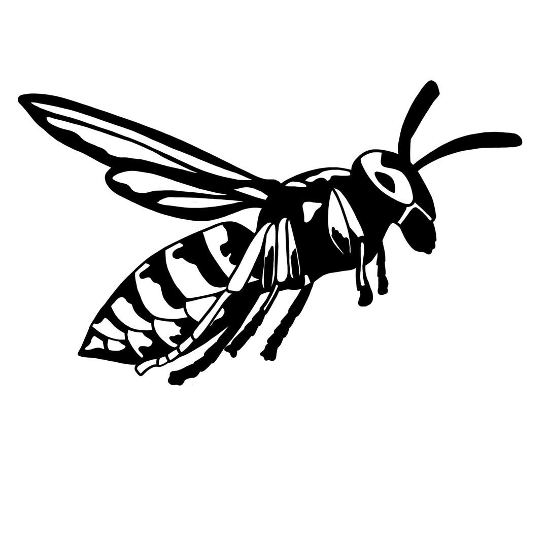 Wasp Vinyl Decal (sticker) - Etsy