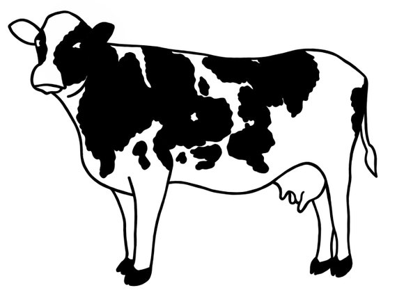 Cow Vinyl Decal sticker | Etsy