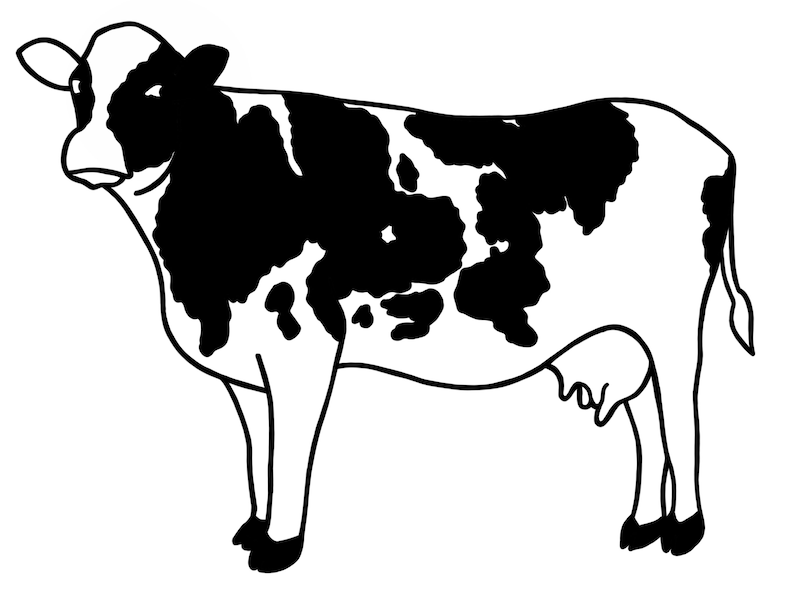 Cow Vinyl Decal sticker - Etsy