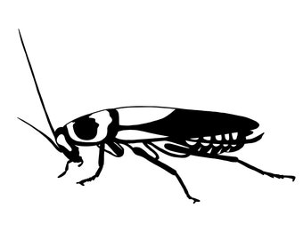 Cockroach Sticker - Etsy