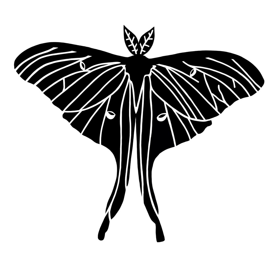 Luna Moth Vinyl Decal (sticker) - Etsy