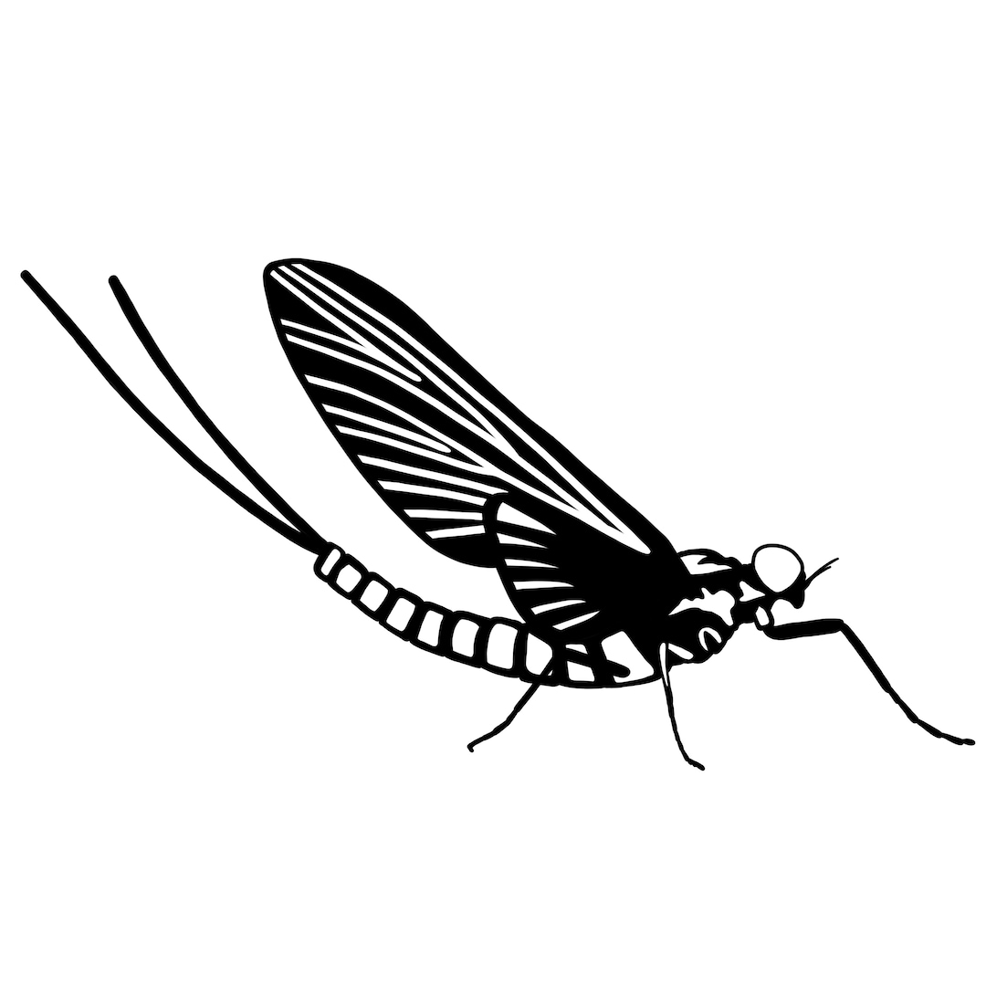 Mayfly Vinyl Decal (sticker) - Etsy