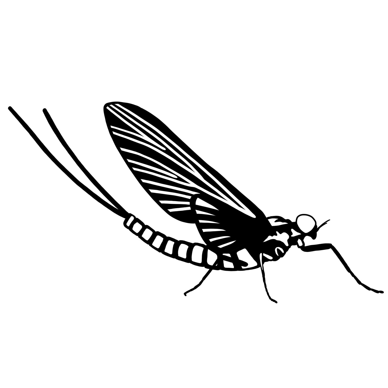 Mayfly Vinyl Decal (sticker) - Etsy