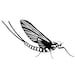 Mayfly Vinyl Decal sticker | Etsy