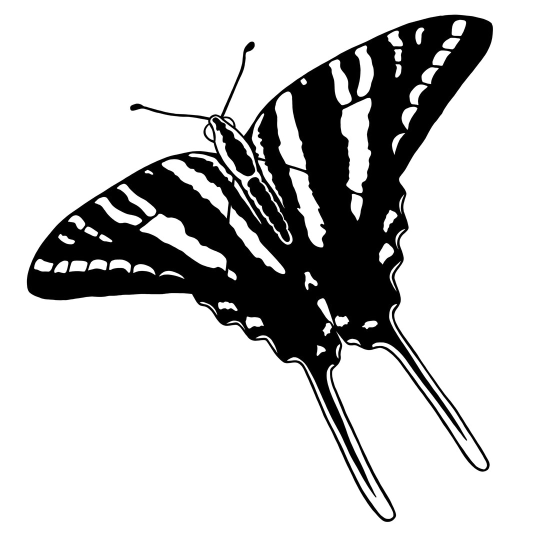 Zebra Swallowtail Butterfly Vinyl Decal (sticker) - Etsy