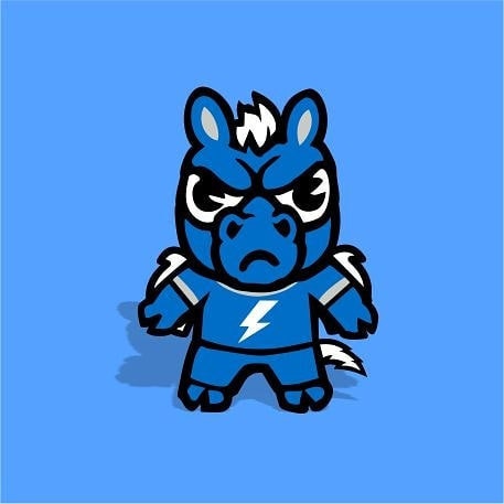 MTSU Mascot C2C Afghan Crochet Pattern With Written Instructions - Etsy