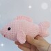 Amigurumi Fish Pattern, Crochet Velvet Fish - Etsy