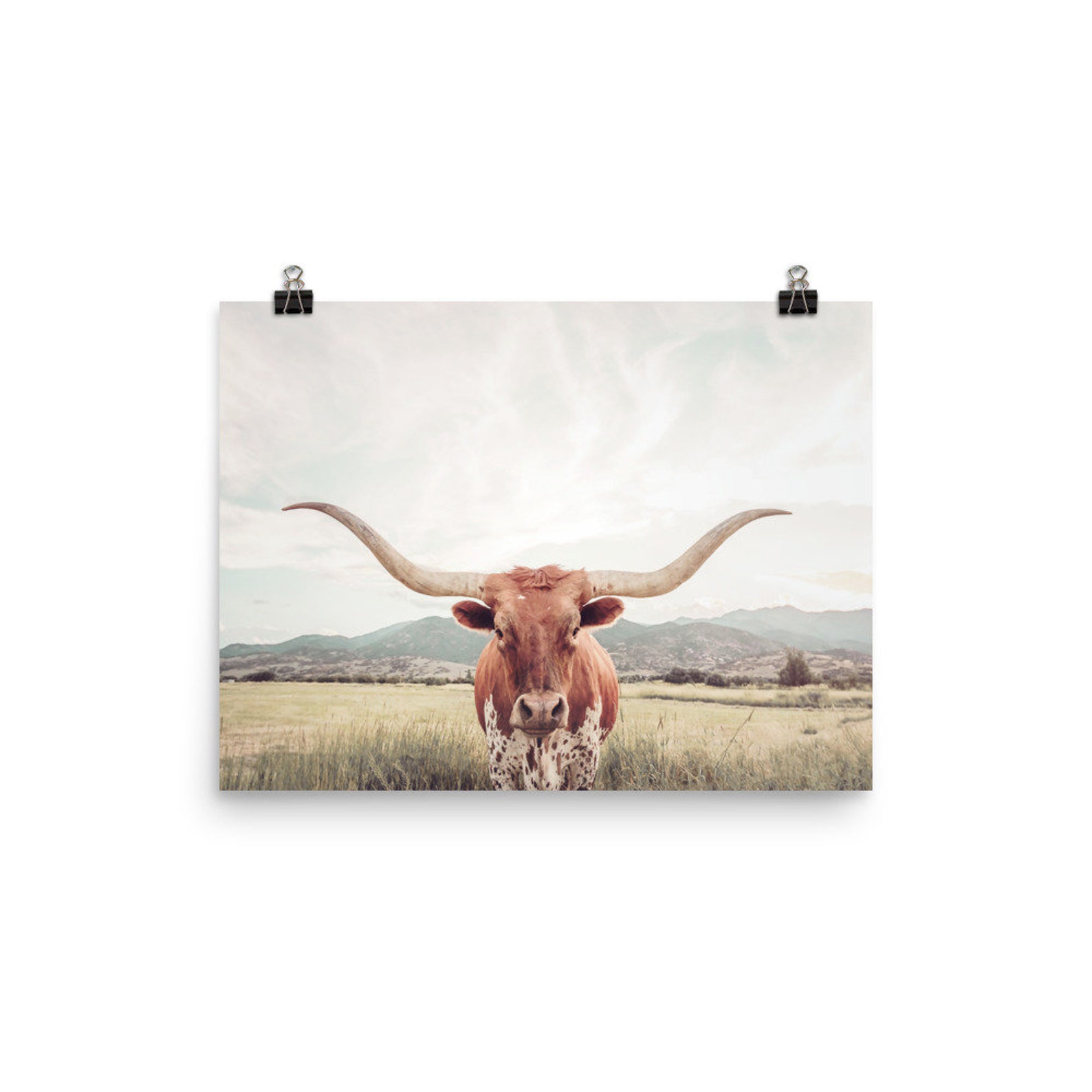 Longhorn Print Longhorn Texas Cow Print Cow Poster Horns - Etsy
