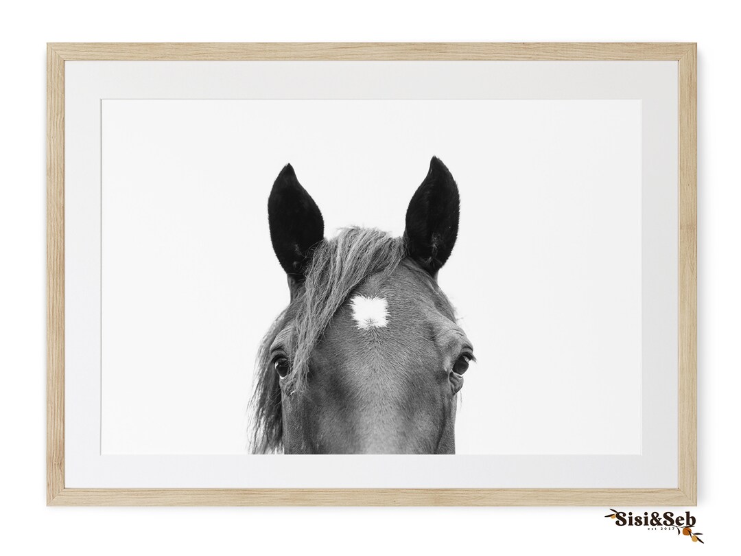 Framed Black and White Horse Portrait, Modern Farmhouse Decor, FRAMED ...