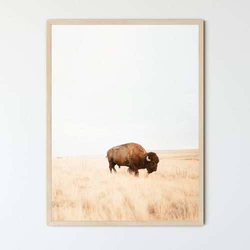 FRAMED Bison Print Vertical Frame Print Modern Desert - Etsy